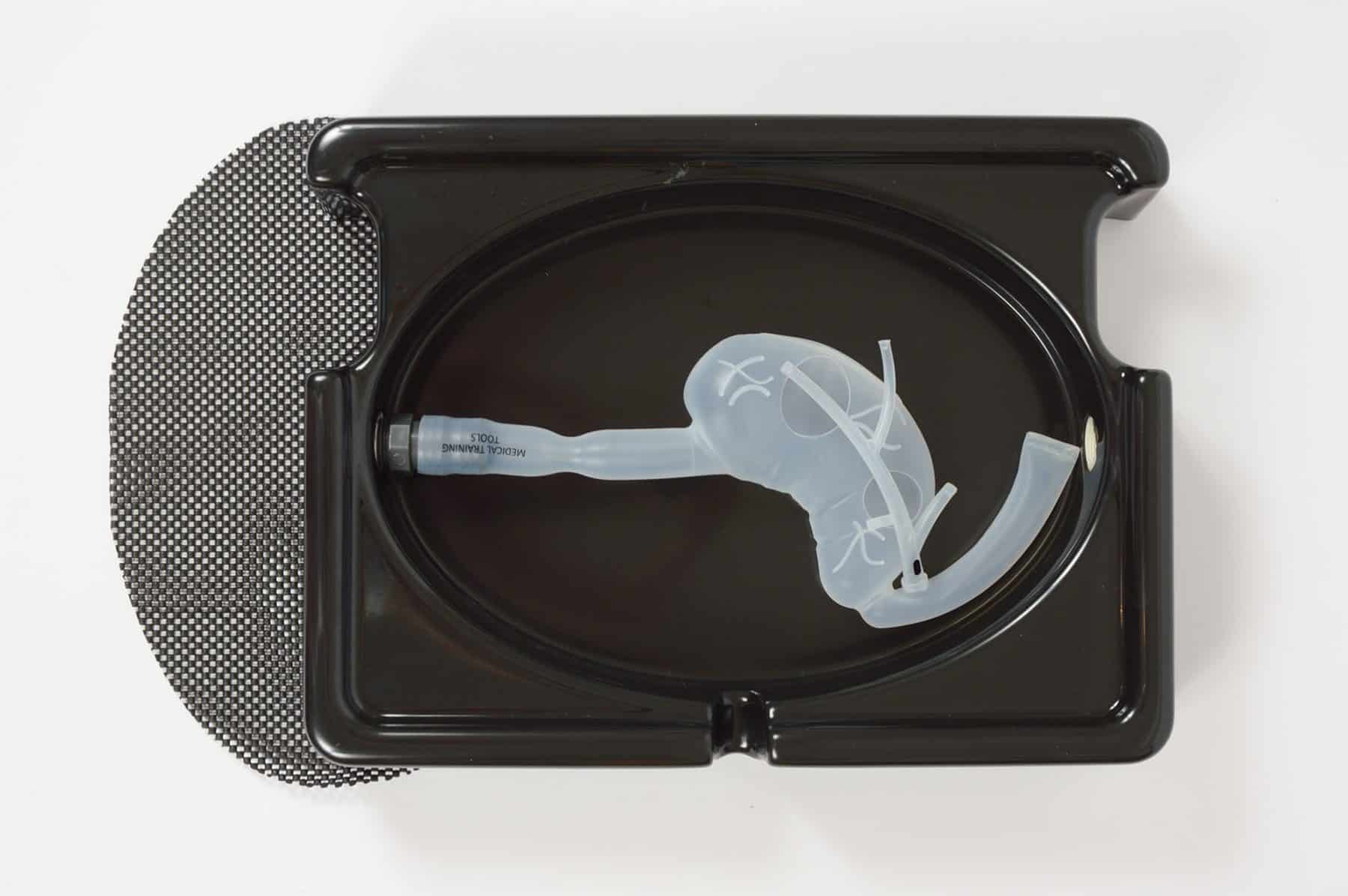 Upper-GI Model Transparent • Medical Training Tools